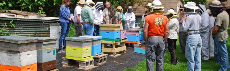 Washington State Beekeepers Association — Keeping the Bee in Business