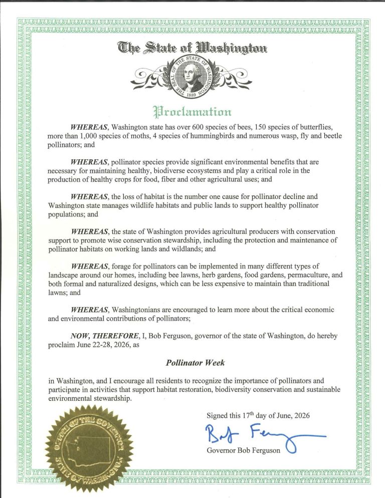 Happy Pollinator Week 2026! - Washington State Beekeepers Association